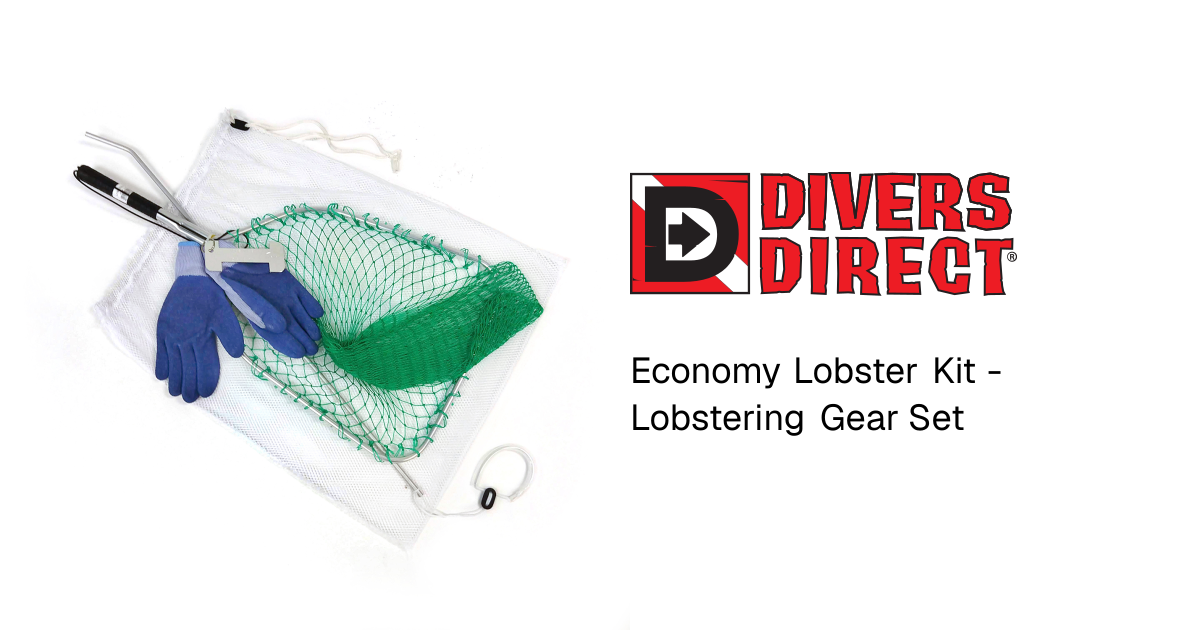 Economy Lobster Kit - Lobstering Gear Set