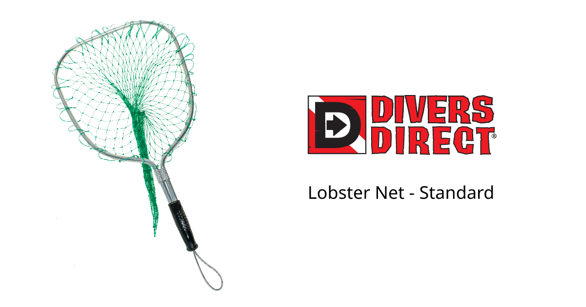 Lobster Net - Standard
