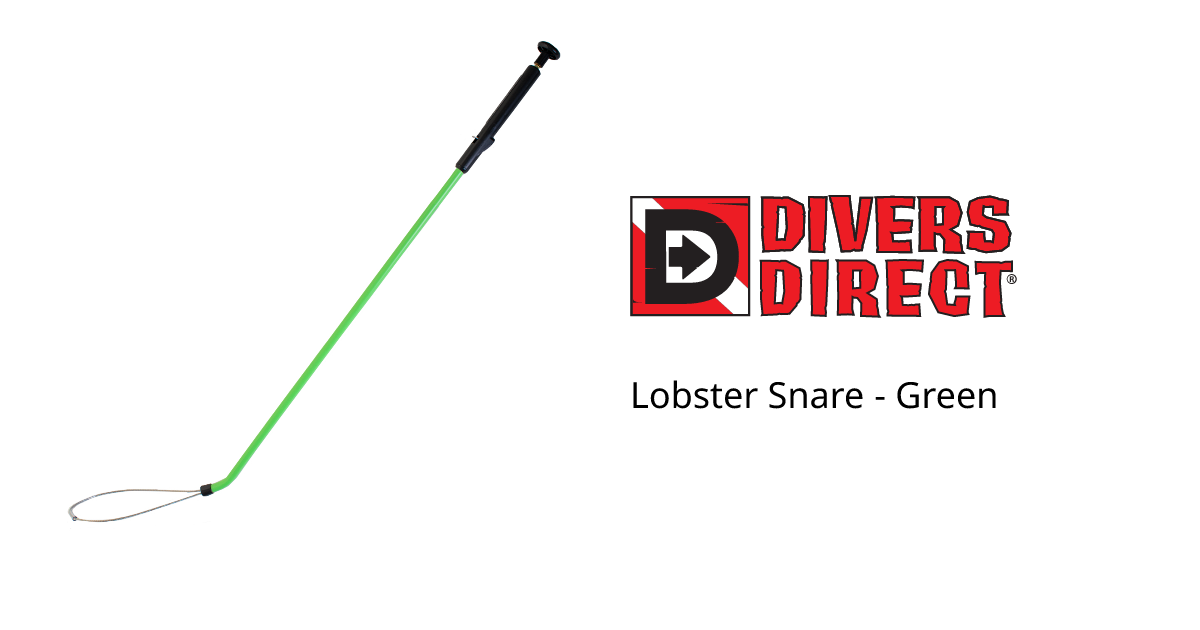 Lobster Snare - Green