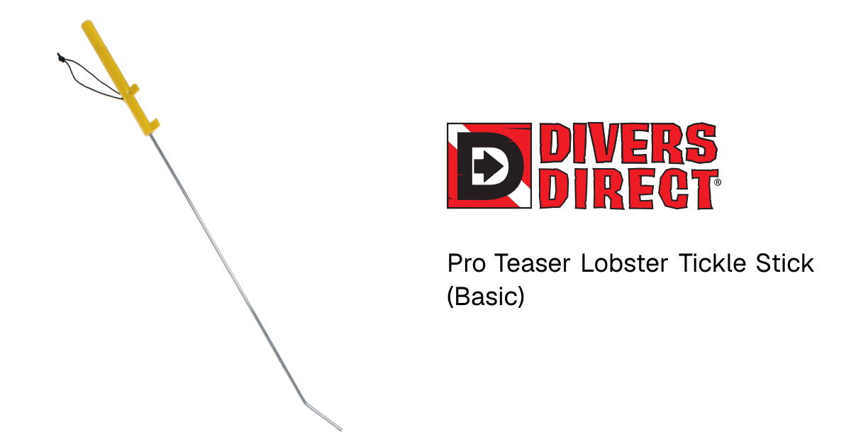 Pro Teaser Lobster Tickle Stick (Basic)