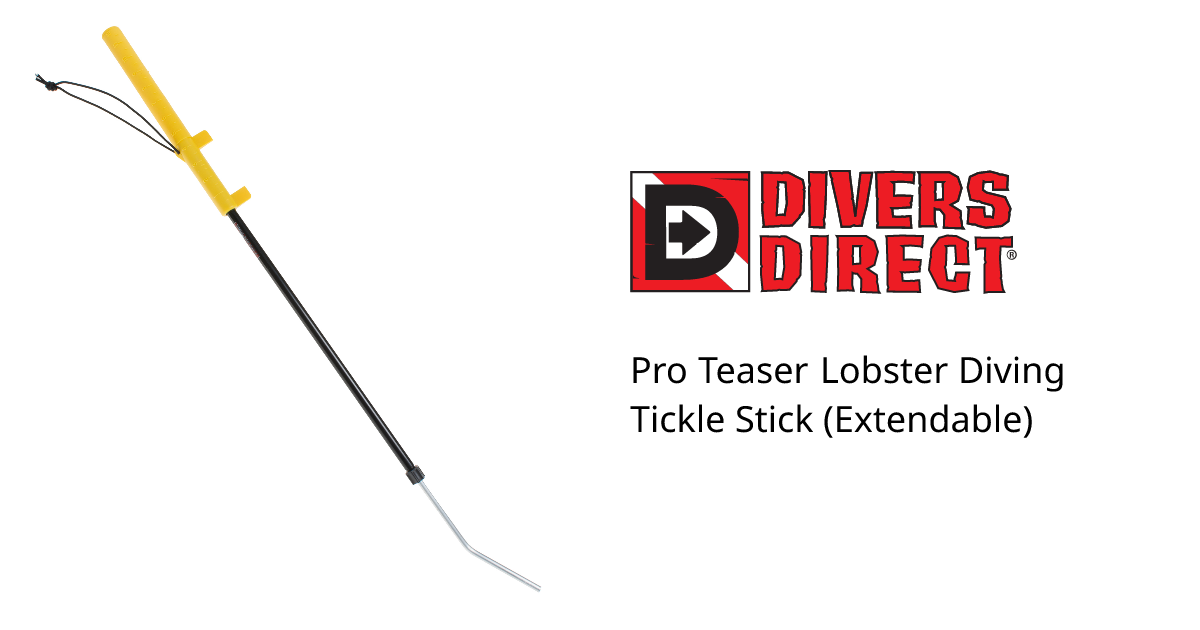 Pro Teaser Lobster Diving Tickle Stick (Extendable)