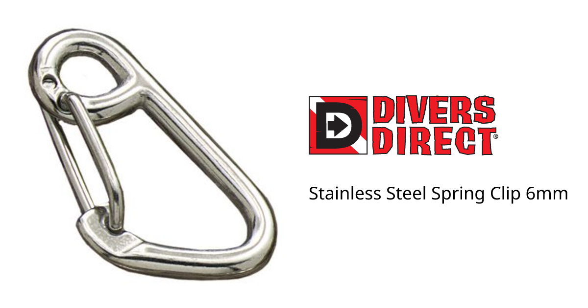 Stainless Steel Spring Clip 6mm
